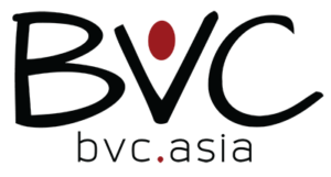 BVC Asia – Visualize Impacts. Deliver Results.